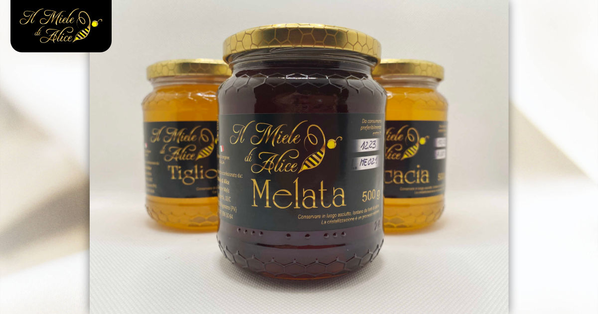 Miele di melata di produzione propria - Vigevano